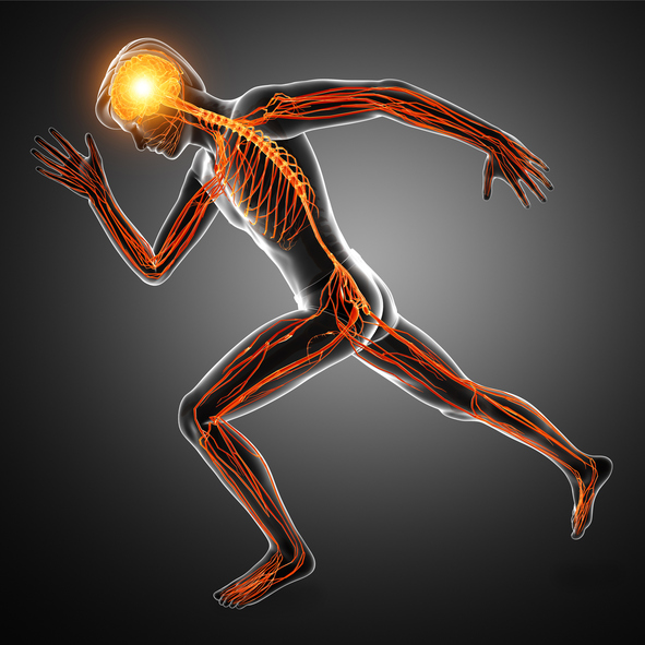 Å lytte til kroppen gir bedre helse! - Ryggforskning.no